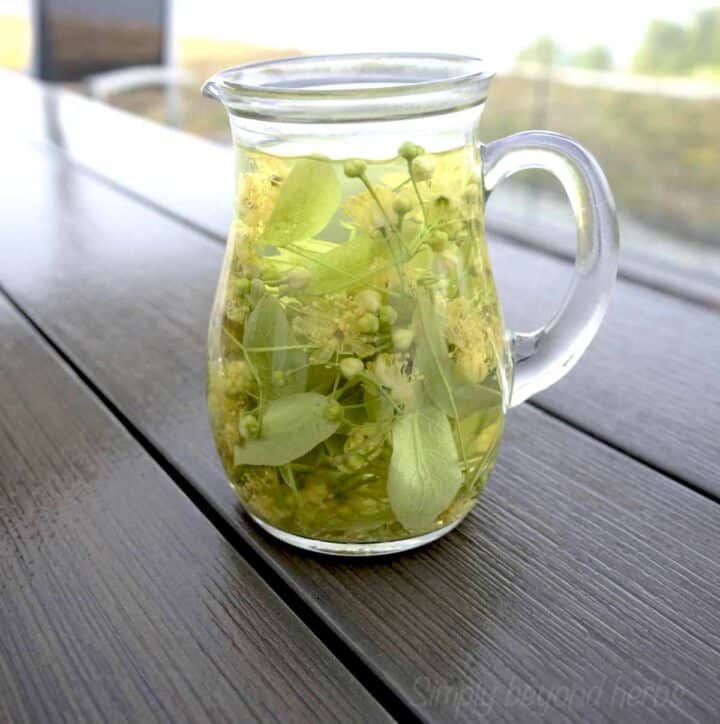 How to make linden tea - SimplyBeyondHerbs