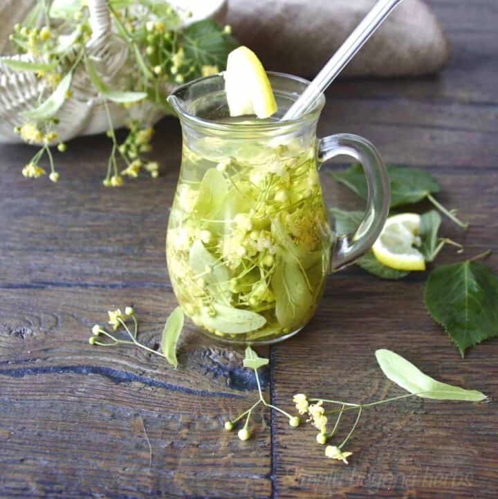 How to make linden tea - SimplyBeyondHerbs