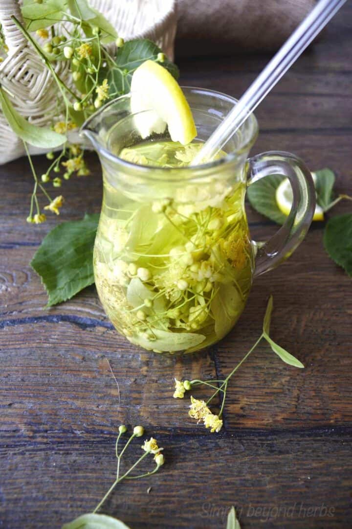 How to make linden tea - SimplyBeyondHerbs