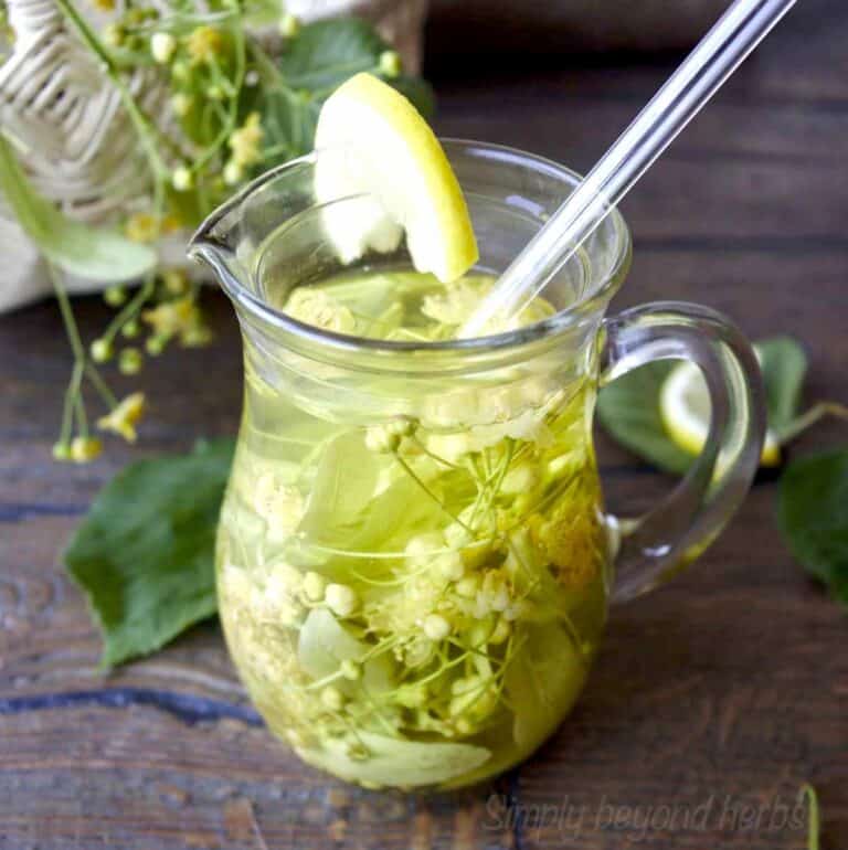 How to make linden tea - SimplyBeyondHerbs