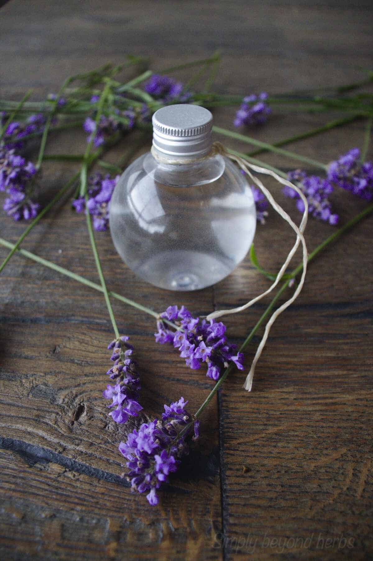 How to make Lavender water and 14 ways to use it - SimplyBeyondHerbs