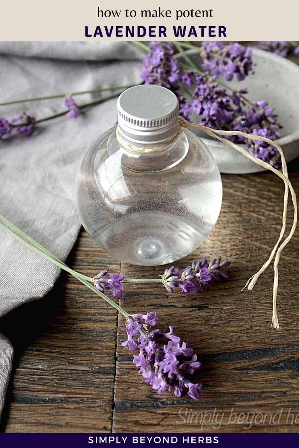How to make Lavender water and 14 ways to use it - SimplyBeyondHerbs