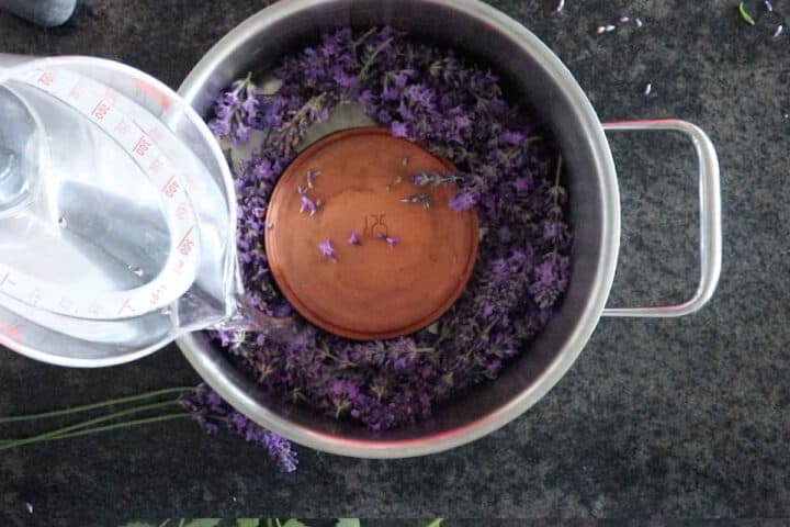 How to make Lavender water and 14 ways to use it - SimplyBeyondHerbs