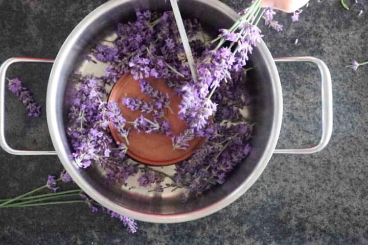 How to make Lavender water and 14 ways to use it - SimplyBeyondHerbs