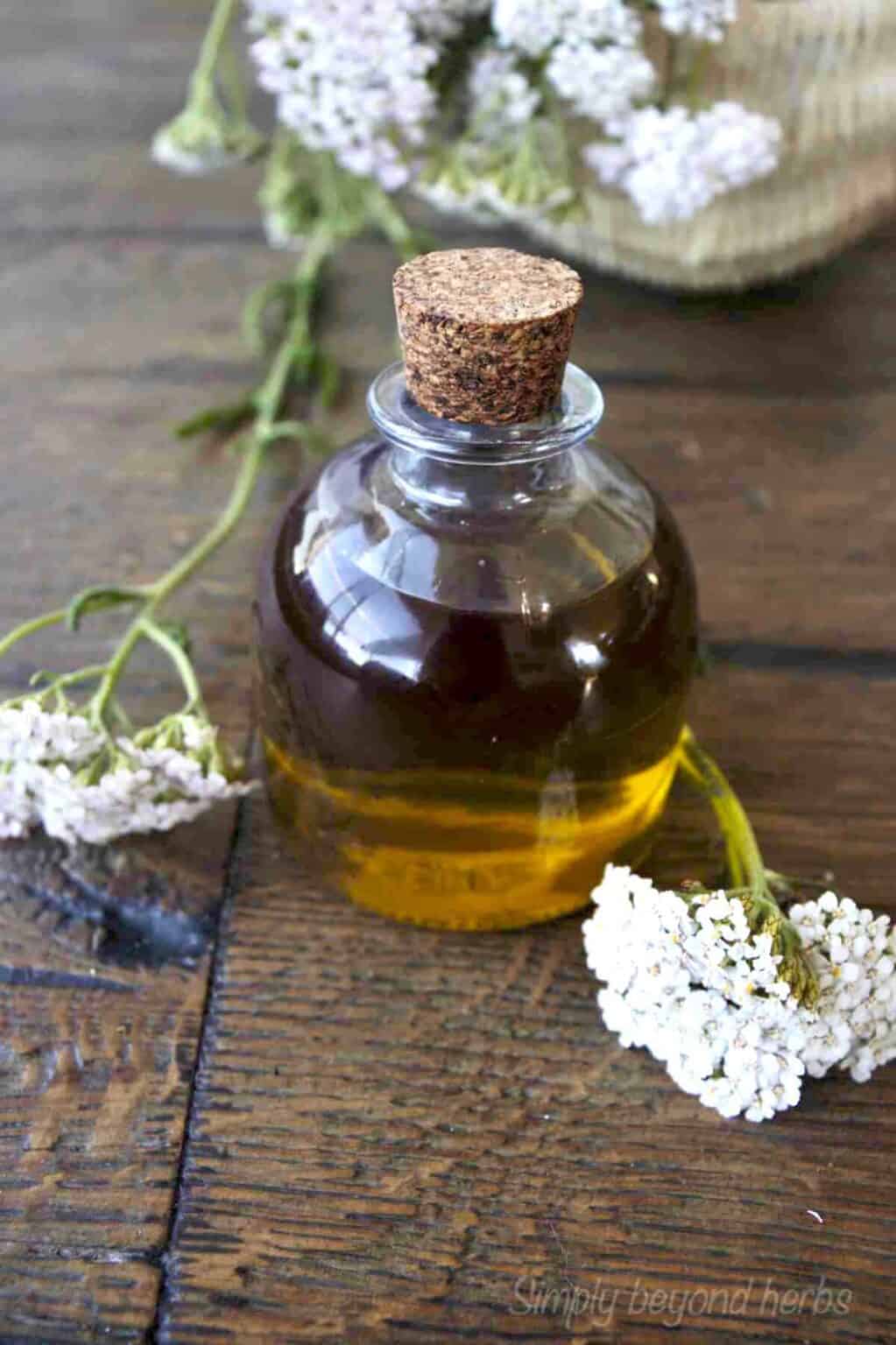 How to Make Yarrow Oil and 10 ways to use It - SimplyBeyondHerbs