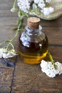 How to Make Yarrow Oil and 10 ways to use It - SimplyBeyondHerbs