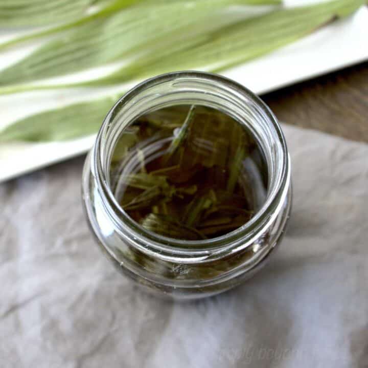 Make Plantain Oil - infused oil for stings and bites. - SimplyBeyondHerbs