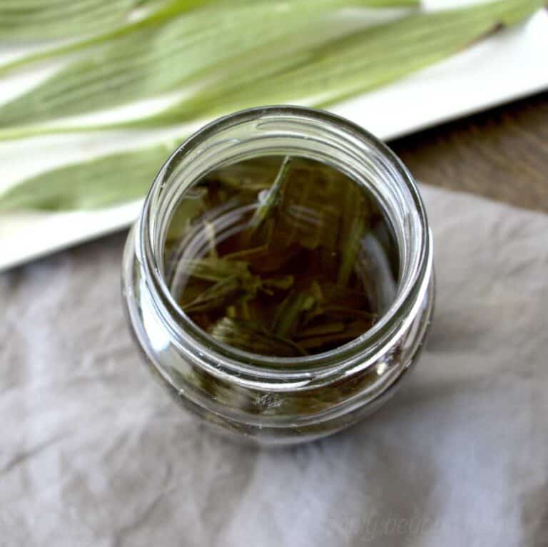Make Plantain Oil - infused oil for stings and bites. - SimplyBeyondHerbs