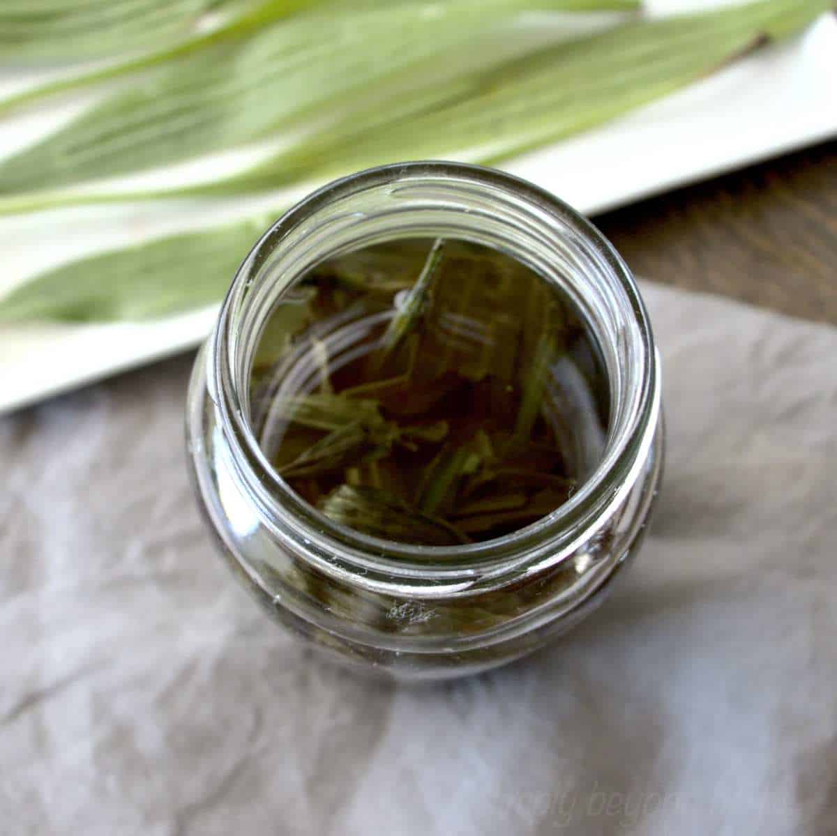 Make Plantain Oil - infused oil for stings and bites. - SimplyBeyondHerbs