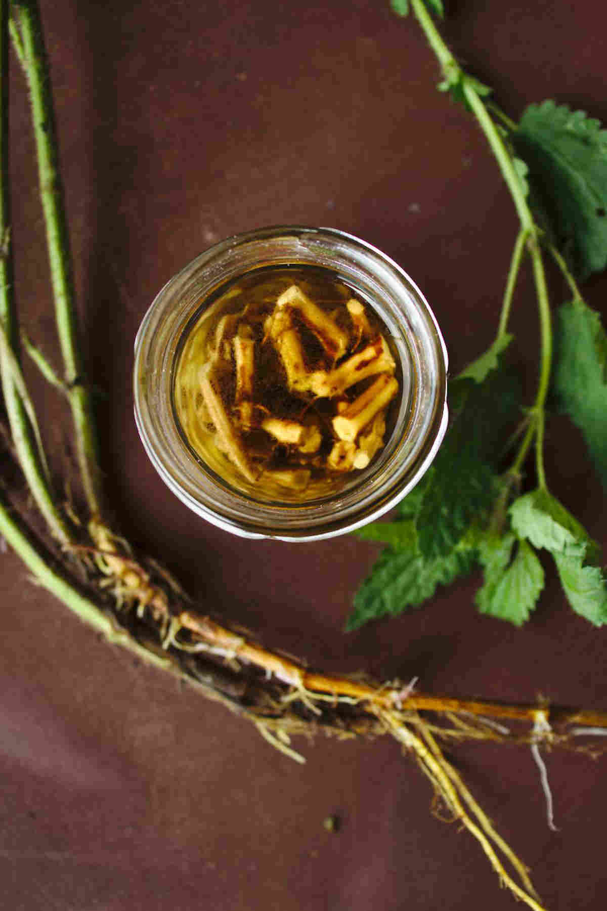 Stinging nettle root extract recipe - SimplyBeyondHerbs