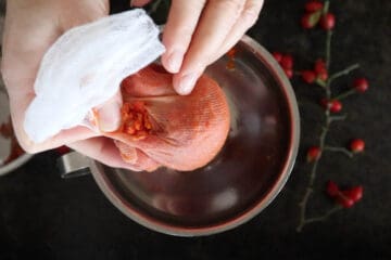 Wild Rosehip Syrup from Foraged Rose Hips - SimplyBeyondHerbs