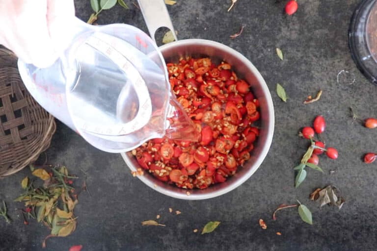 Wild Rosehip Syrup from Foraged Rose Hips - SimplyBeyondHerbs