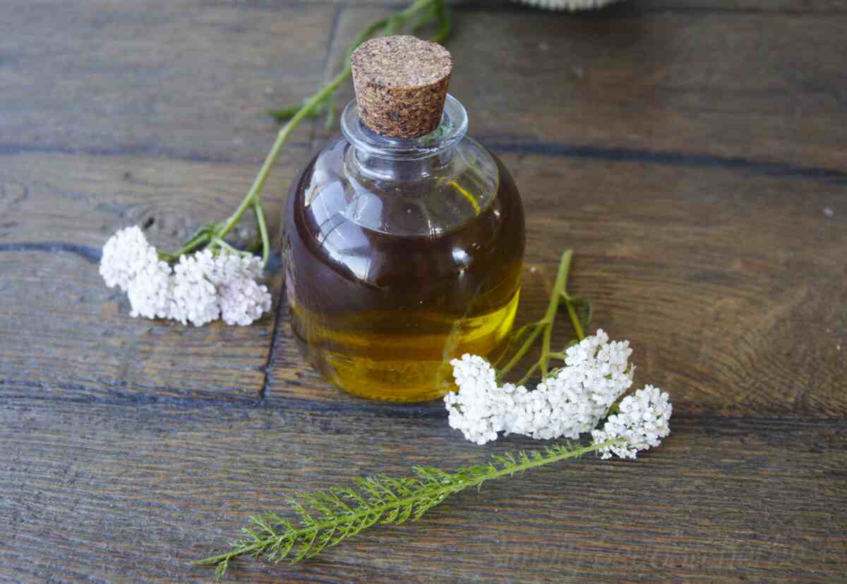 Yarrow salve - the first aid kit salve - SimplyBeyondHerbs