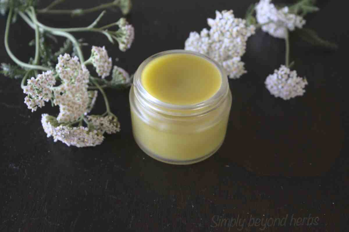 Yarrow salve - the first aid kit salve - SimplyBeyondHerbs