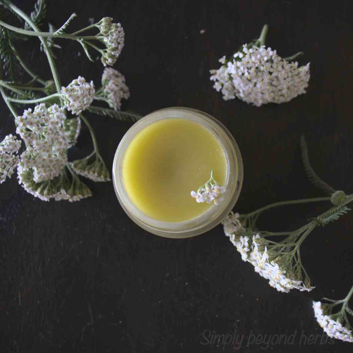 Yarrow salve - the first aid kit salve - SimplyBeyondHerbs