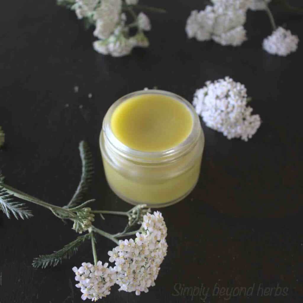 How to Make Yarrow Oil and 10 ways to use It - SimplyBeyondHerbs