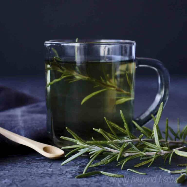 Fragrant Rosemary Tea Recipe - SimplyBeyondHerbs