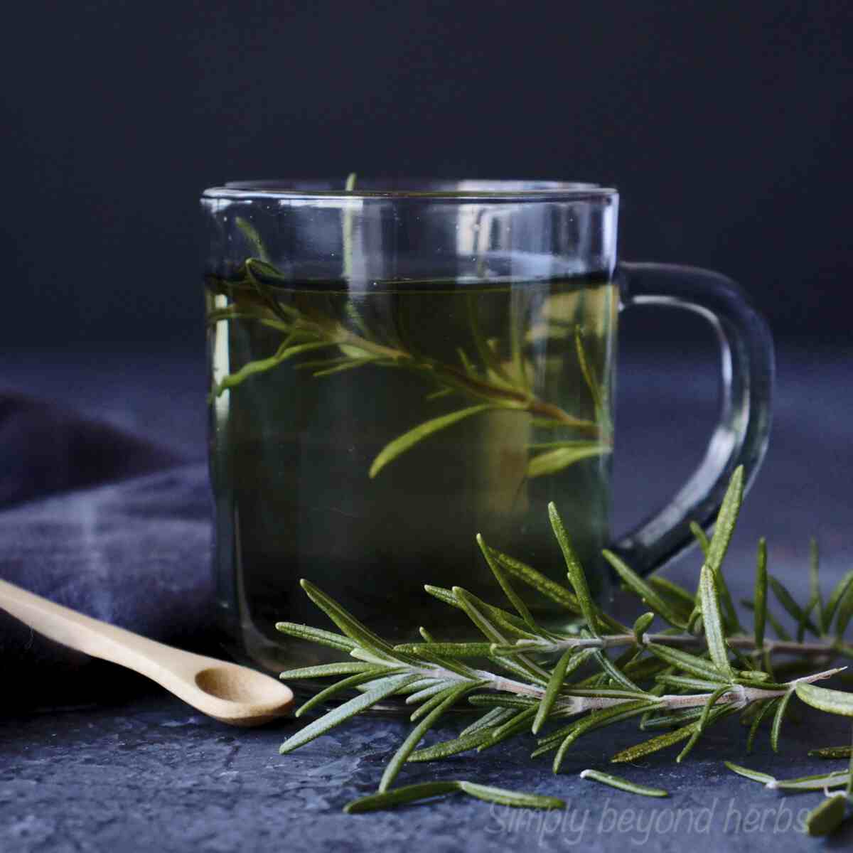 Fragrant Rosemary Tea Recipe - SimplyBeyondHerbs