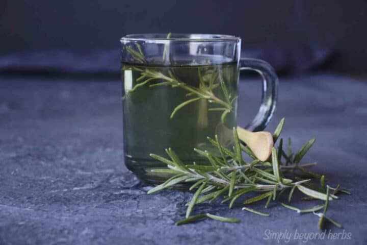 Fragrant Rosemary Tea Recipe - SimplyBeyondHerbs