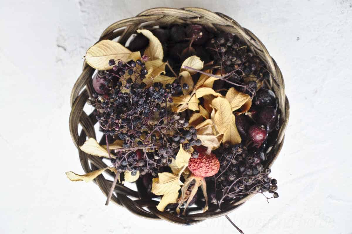Brew your own wild tea from foraged herbs - SimplyBeyondHerbs