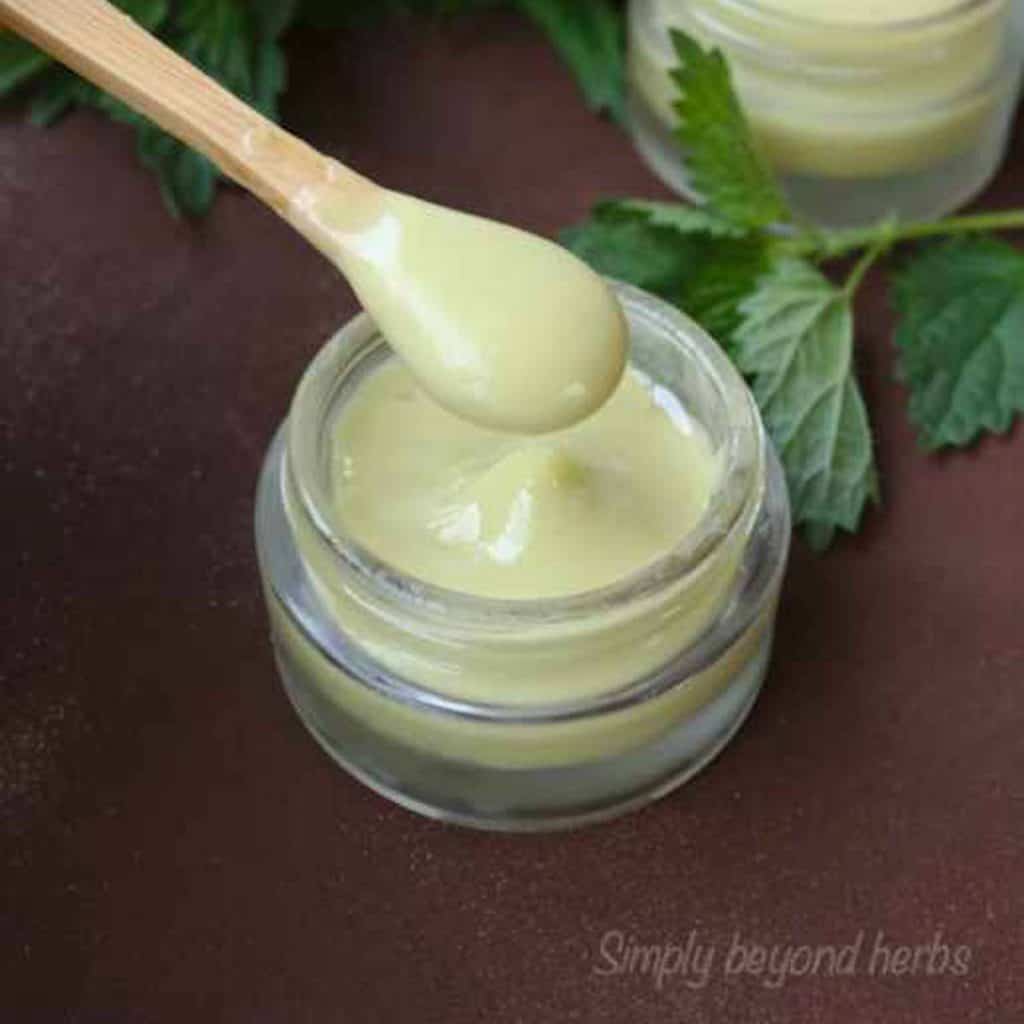 DIY lotion: homemade face moisturizer - SimplyBeyondHerbs
