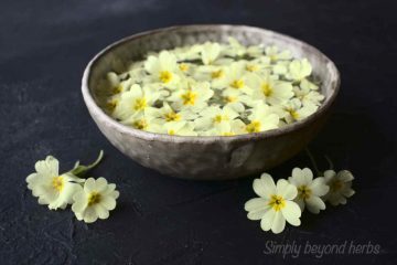 How to make flower essences - SimplyBeyondHerbs