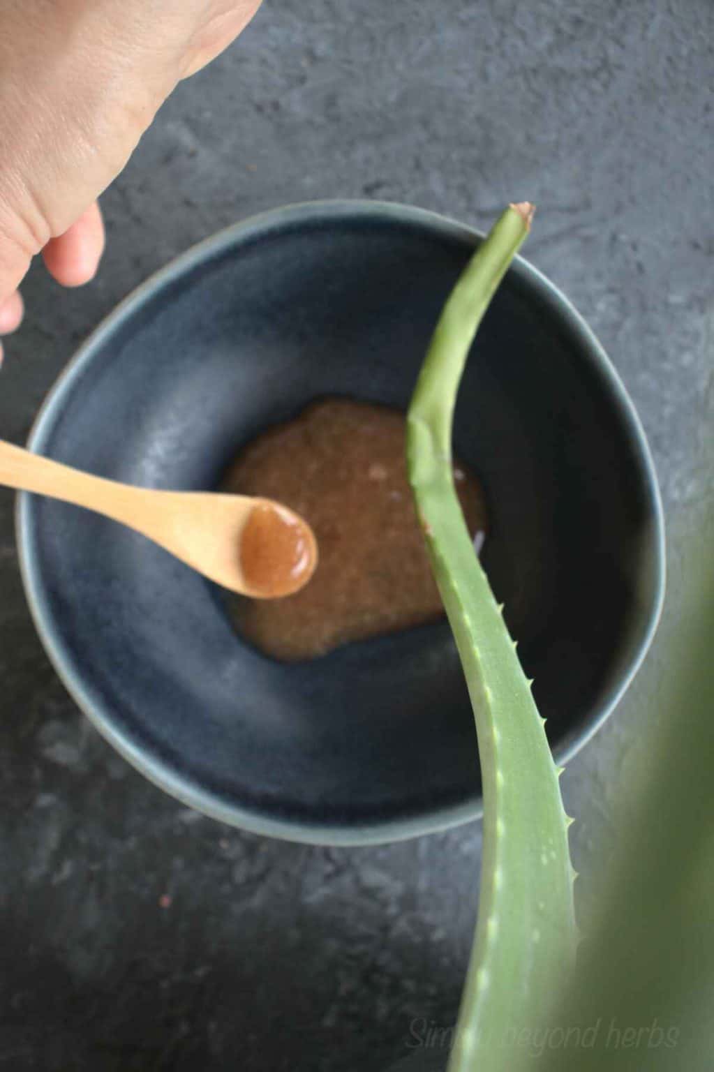 Homemade aloe vera mask - SimplyBeyondHerbs