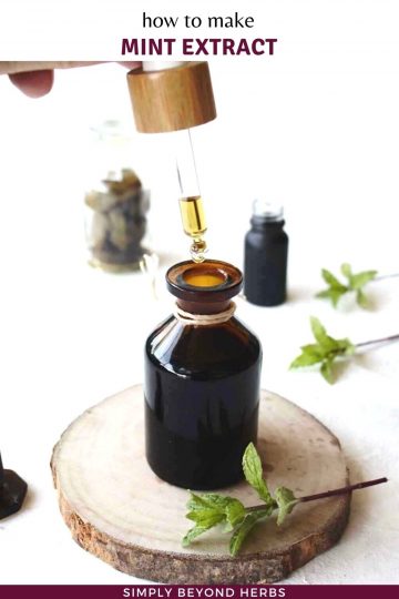 how to make a mint extract and 11 ways to use it - SimplyBeyondHerbs