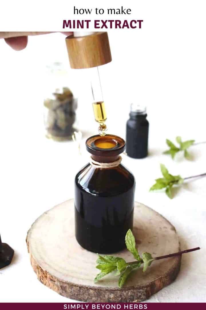 how to make a mint extract and 11 ways to use it - SimplyBeyondHerbs
