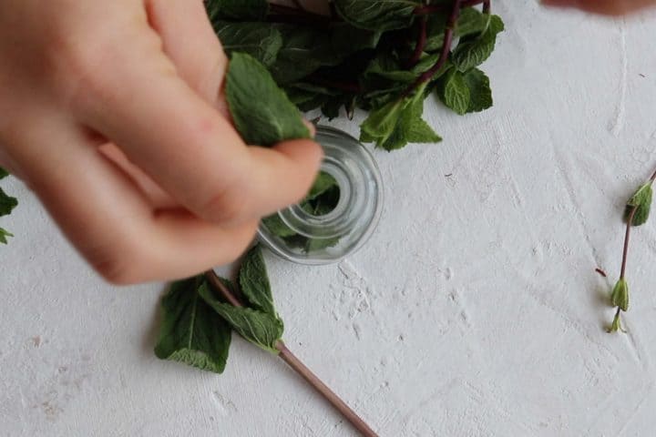 how to make a mint extract and 11 ways to use it - SimplyBeyondHerbs