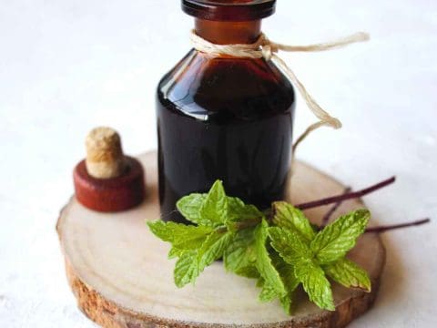 how to make a mint extract and 11 ways to use it - SimplyBeyondHerbs