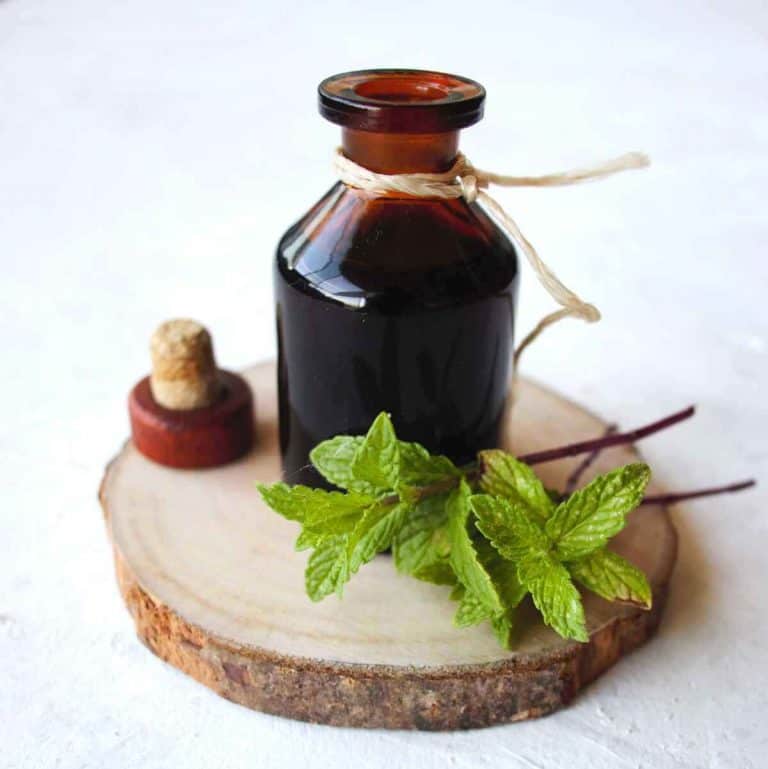 how to make a mint extract and 11 ways to use it - SimplyBeyondHerbs