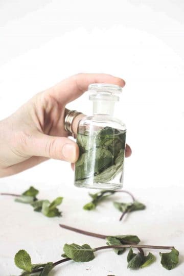 how to make a mint extract and 11 ways to use it - SimplyBeyondHerbs