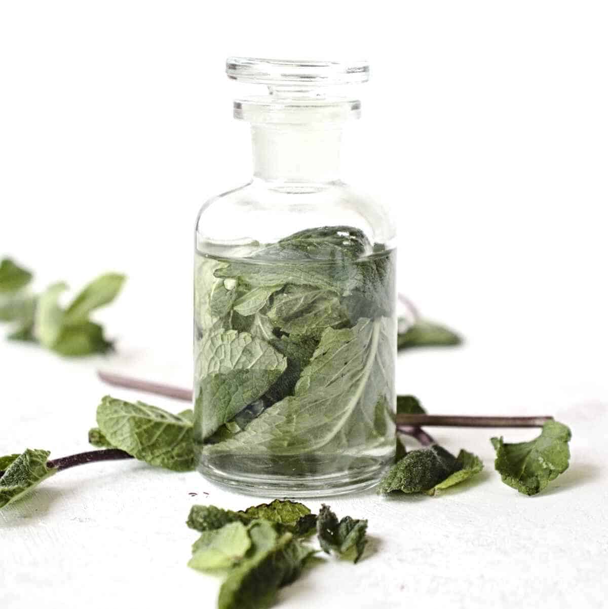 how to make a mint extract and 11 ways to use it - SimplyBeyondHerbs