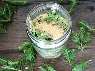 Spruce tip syrup recipe (2 methods) and its uses - SimplyBeyondHerbs