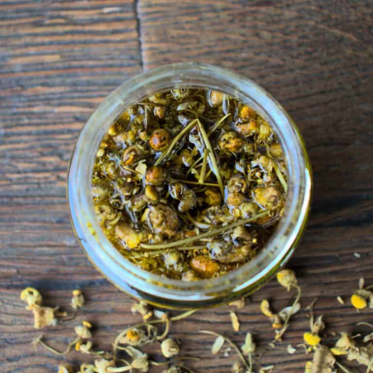 Red clover oil to improve the elasticity of your skin - SimplyBeyondHerbs