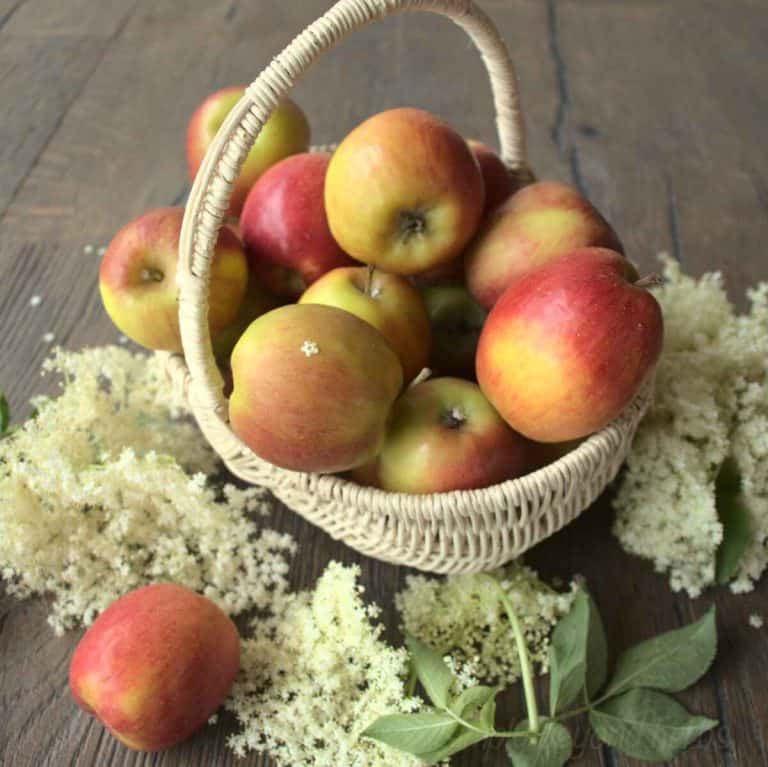 How to make delicious Elderflower Cider from scratch - SimplyBeyondHerbs