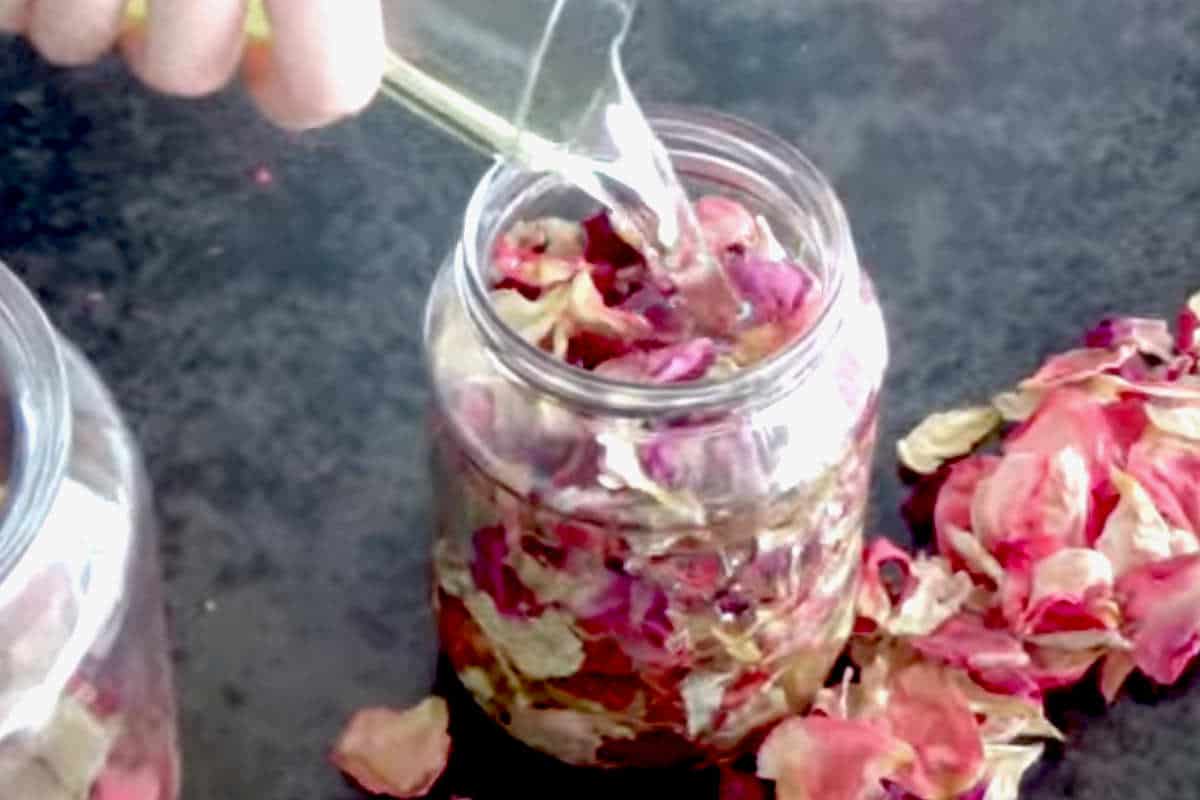 DIY rose oil for skin and hair - SimplyBeyondHerbs