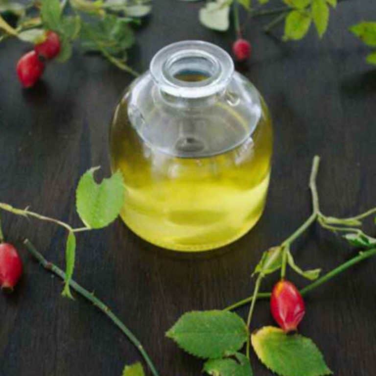 Foraging Rosehips and their uses in recipes and remedies ...