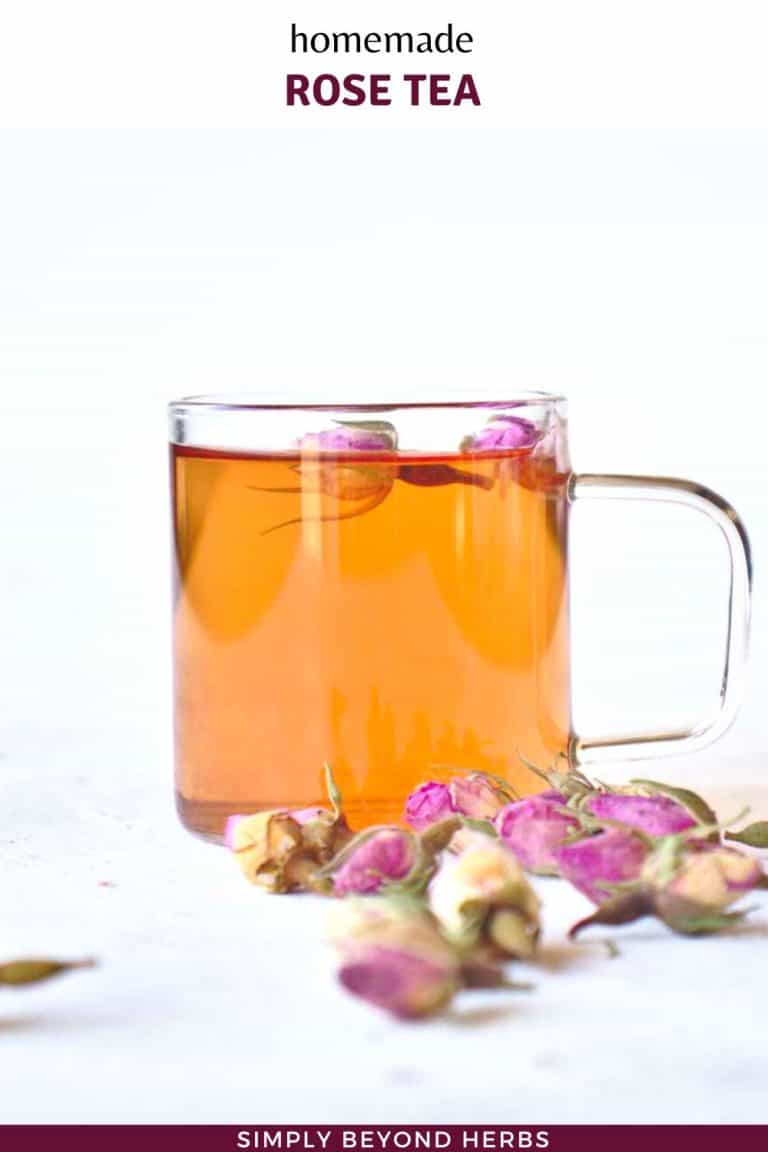 How to make rose tea and its alterations - SimplyBeyondHerbs
