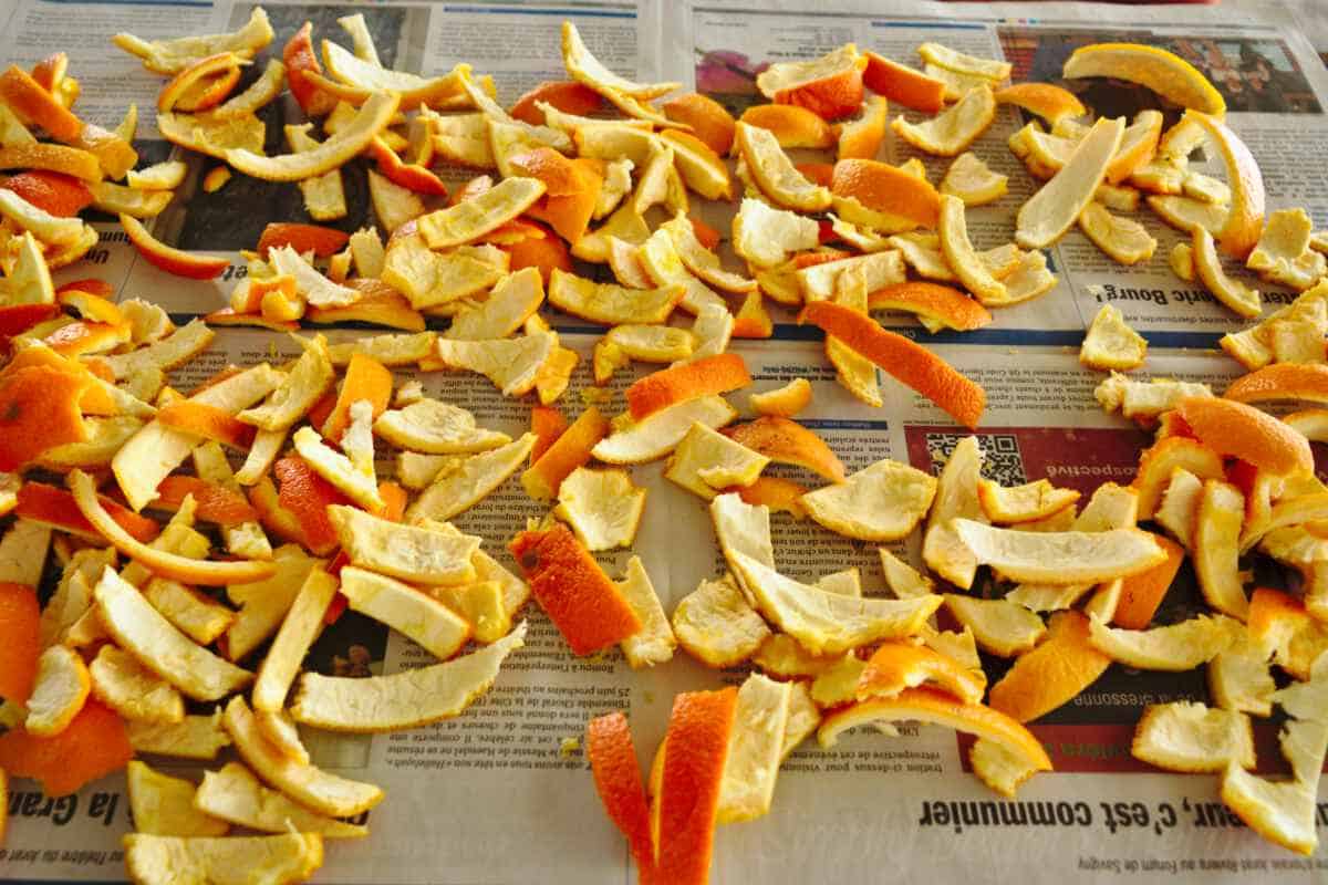 How to make orange peel powder and its uses - SimplyBeyondHerbs
