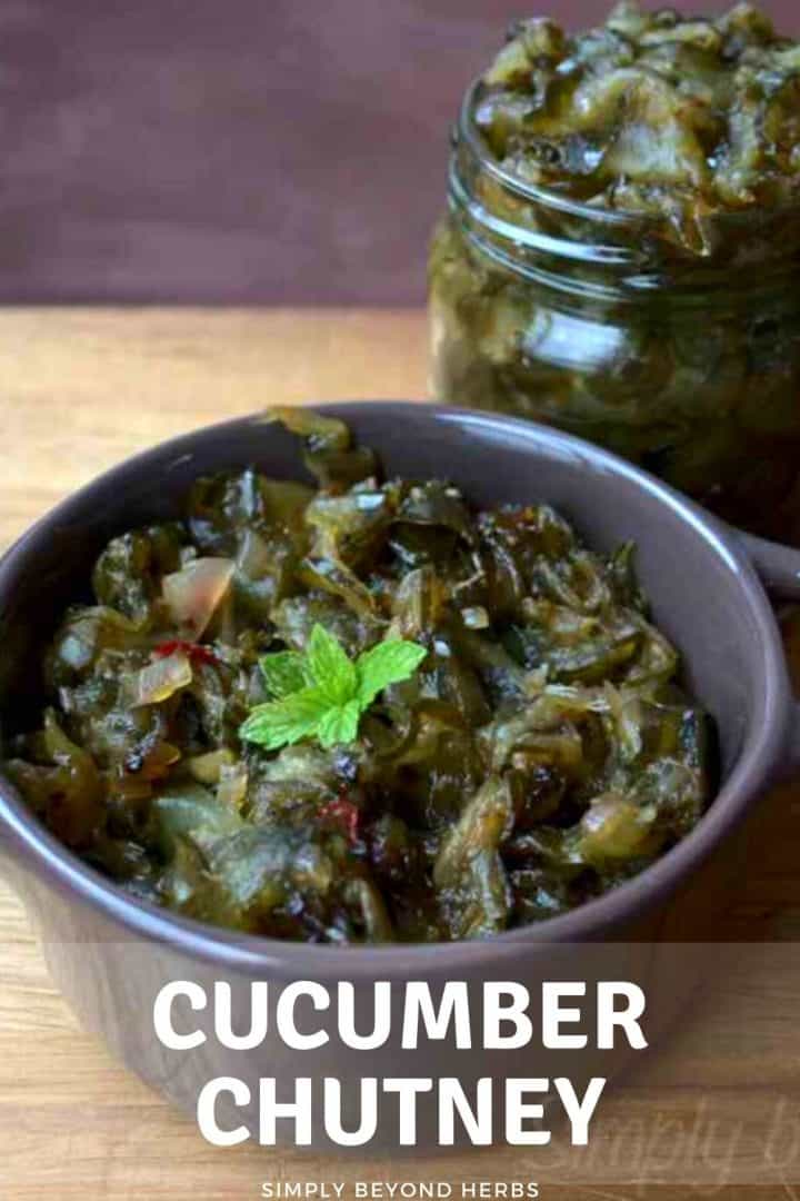 Spicy Cucumber chutney (with raw and cooked cucumber) - SimplyBeyondHerbs