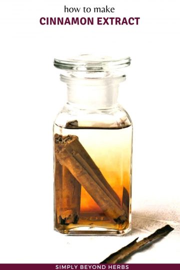 How to make Homemade Cinnamon extract and its uses - SimplyBeyondHerbs