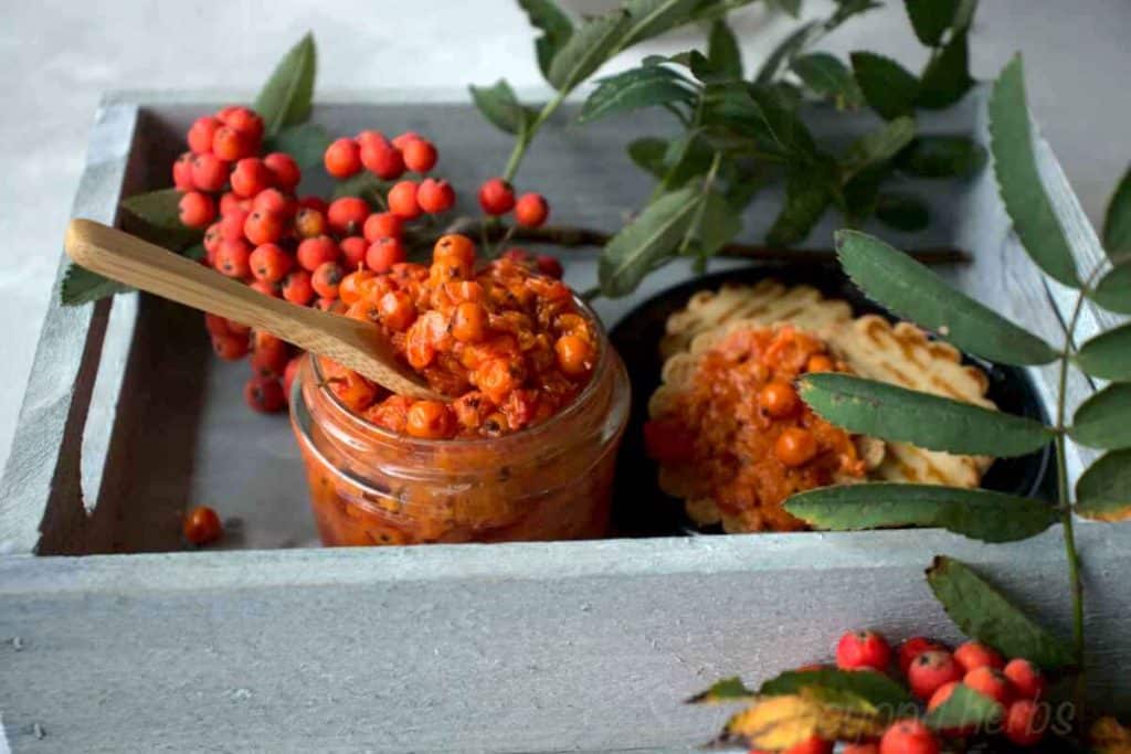 Rowan berry jam with chia and its uses - SimplyBeyondHerbs