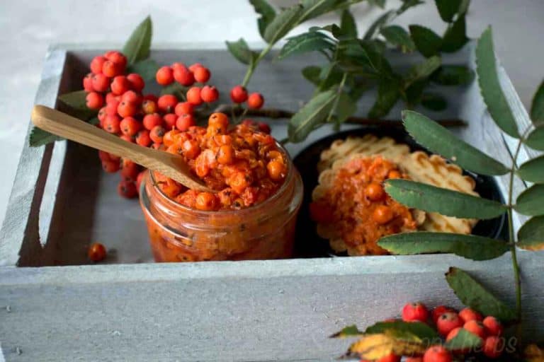 Rowan berry jam with chia and its uses - SimplyBeyondHerbs