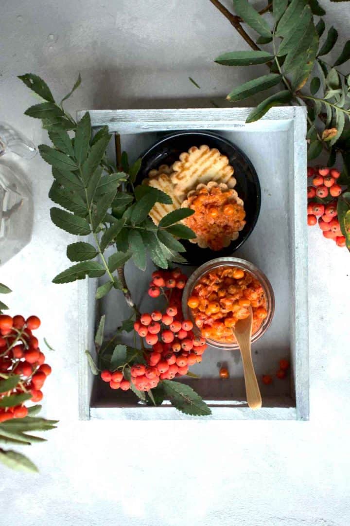 Rowan berry jam with chia and its uses - SimplyBeyondHerbs