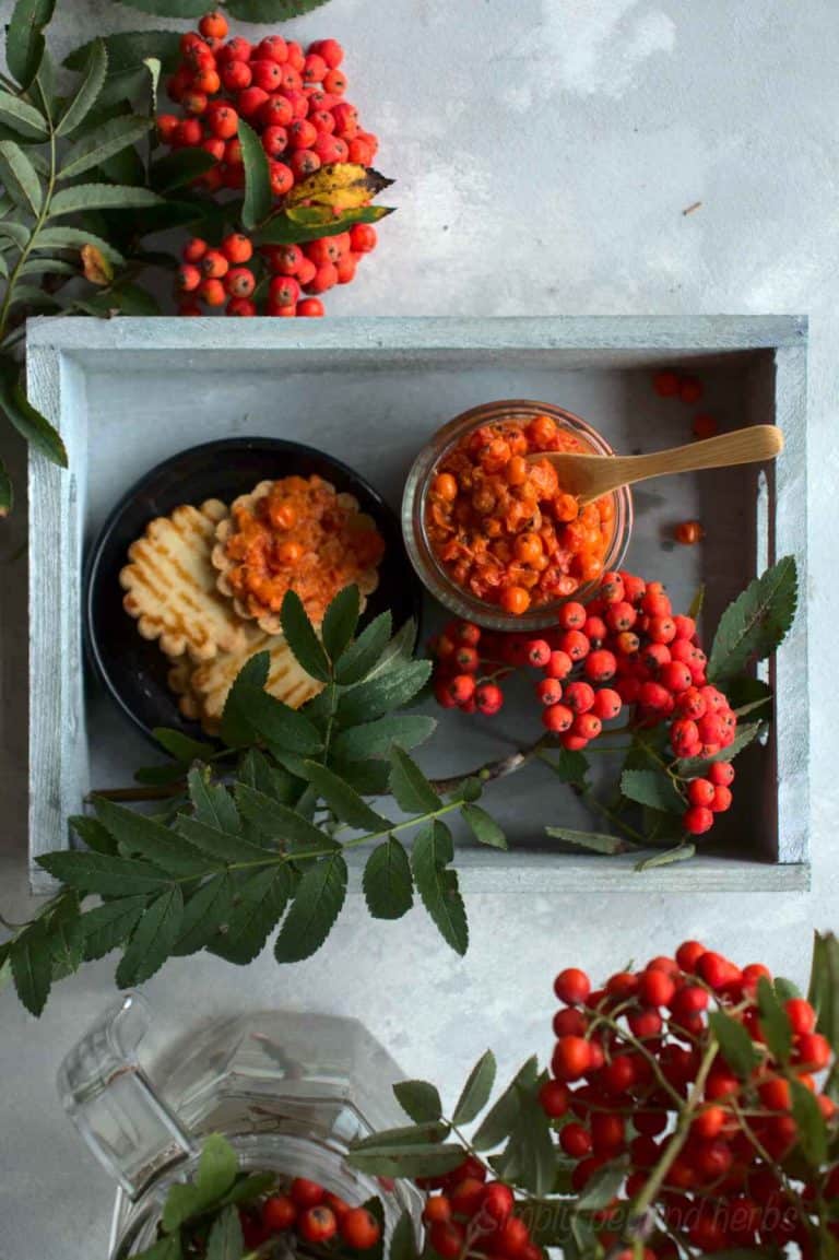 Rowan berry jam with chia and its uses - SimplyBeyondHerbs