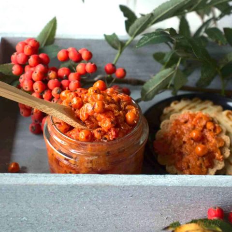 Rowan berry jam with chia and its uses - SimplyBeyondHerbs