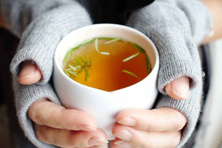 Spruce tip tea for vitamin C and wellness - SimplyBeyondHerbs