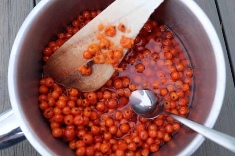 Rowan berry jam with chia and its uses - SimplyBeyondHerbs